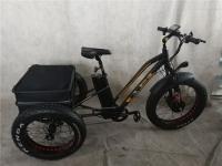 China Bafang 750W Motor Electric Tricycle with Fat Tire E Three Wheels and Passenger Seat for sale