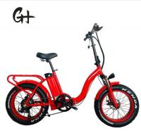 China Folding 20 inch electric bike with 48V 500W 750W 1000W motors and step-through design for sale
