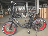 China Folding 20 inch electric bike with 48V 500W 750W 1000W motors and step-through design for sale