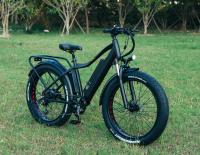 China 48V 1000W 17AH Lithium Battery OEM EN15194 CE Customized Electric MTB Mountain Fat Tire Bike for sale