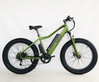 China Affordable Urban Electric Bike Bicycle with 26