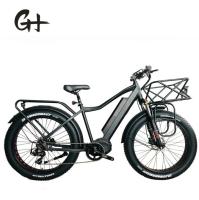 China Affordable Urban Electric Bike Bicycle with 26