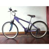 China Threadless Aluminum Stem 26