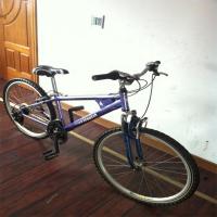 China Threadless Aluminum Stem 26