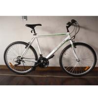 China Ordinary Pedal 26