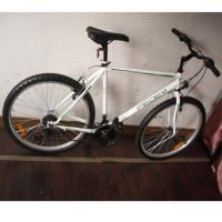 China Ordinary Pedal 26