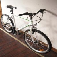 China Ordinary Pedal 26