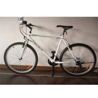 China Ordinary Pedal 26