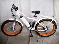 China Disc Brake 750W 48V Lithium Battery Adult E Bike Fat Tire Electric Bike 26 inch with Max Speed of 30-50Km/h for sale