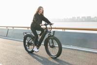China Disc Brake 750W 48V Lithium Battery Adult E Bike Fat Tire Electric Bike 26 inch with Max Speed of 30-50Km/h for sale