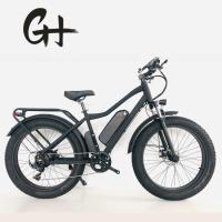China 26 inch PAS 750W 1000W 48V Lithium Battery Fat Tire Mountain Electric Bike for Adult Men for sale