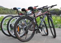 China Experience the Ultimate Ride with Our Men's 21 Speed Mountain Bicycle for sale