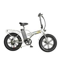 China 750W 1000W 48V Fat Tire 4.0