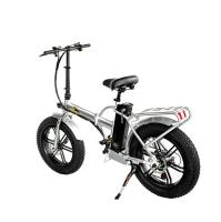 China 750W 1000W 48V Fat Tire 4.0