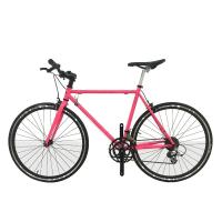 China Aluminum Threadless Stem 700C Hi-Ten Steel Frame Sunrace 14S Speeds Adult Road Bike for sale