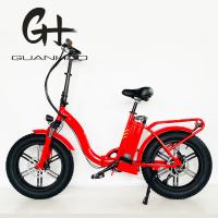 China 750W 1000W 48V Fat Tire 4.0