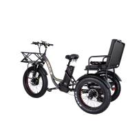 China Electric Bicycle Rickshaw Taxi with 48V 1000W Motor Bafang Crank and Kenda 24*4.0 Tire for sale