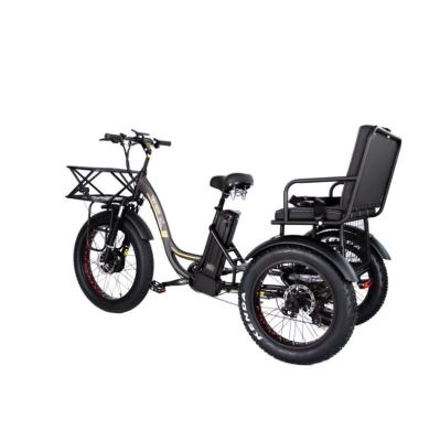China Electric Bicycle Rickshaw Taxi with 48V 1000W Motor Bafang Crank and Kenda 24*4.0 Tire for sale