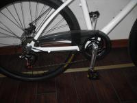 China OEM Color Paint 26inch 3.0 Tire Aluminum Frame Beach Cruiser Bicycle 7 Speed Shimano for sale
