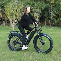 China 52V 17AH Lithium Battery 1000W BaFang Fat Snow Tire Mountain EMTB Electric Bike 55KM/H for sale