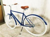 China Ordinary Pedal 700C Unisex Bicycle with Simple Design and Coaster Brake for sale