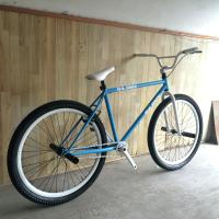 China Customized Color 26