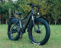 China USA CE Approved 48V 21ah Electric Mountain Bike with 26