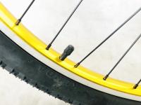 China Smooth Freewheel System 29
