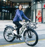 China 48V 17AH 1000W BaFang Central Motor Electric Mountain Bicycle with 26
