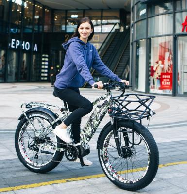 China 48V 17AH 1000W BaFang Central Motor Electric Mountain Bicycle with 26