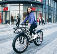 China 48V 17AH 1000W BaFang Central Motor Electric Mountain Bicycle with 26