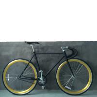 China 13kg Gross Weight Belt Drive Fixed Gear Bike with Hi-Ten Steel Frame and Style Design for sale