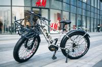China 48V 17AH 1000W BaFang Central Motor Electric Mountain Bicycle with 26