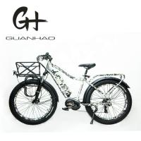 China 48V 17AH 1000W BaFang Central Motor Electric Mountain Bicycle with 26