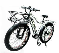 China 48V 17AH 1000W BaFang Central Motor Electric Mountain Bicycle with 26