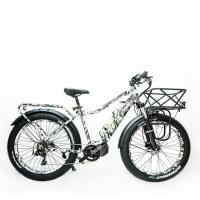 China 48V 17AH 1000W BaFang Central Motor Electric Mountain Bicycle with 26