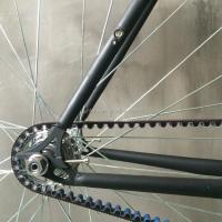 China Alloy Pedal 2016 High End Men Style 700C Single Speed Belt Drive Road Bike/Fixie Bike in Any Color for sale