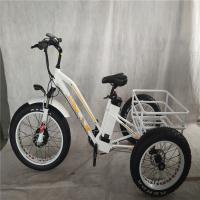 China 750W Electric Bike 3 Wheels Adult Fat Tire E Trike Cargo Torque 70-80 Nm Disc Brakes for sale