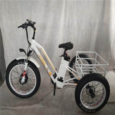 China 750W Electric Bike 3 Wheels Adult Fat Tire E Trike Cargo Torque 70-80 Nm Disc Brakes for sale