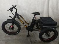 China 750W Electric Bike 3 Wheels Adult Fat Tire E Trike Cargo Torque 70-80 Nm Disc Brakes for sale