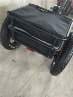 China 750W Electric Bike 3 Wheels Adult Fat Tire E Trike Cargo Torque 70-80 Nm Disc Brakes for sale