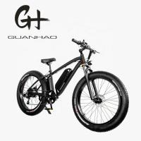 China 30-50Km/h Max Speed 1000W 48V 17AH Electric Mountain Bike with 7 Speeds and Disc Brake for sale