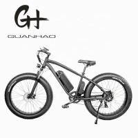 China 30-50Km/h Max Speed 1000W 48V 17AH Electric Mountain Bike with 7 Speeds and Disc Brake for sale