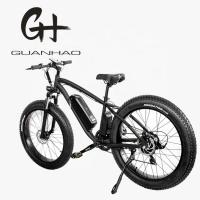 China 30-50Km/h Max Speed 1000W 48V 17AH Electric Mountain Bike with 7 Speeds and Disc Brake for sale