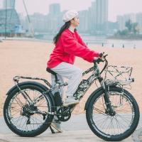 China 52V 1000W Bafang Motor 17AH Lithium 55KM/H Rear Hub Snow Fat Tire Mountain Electric Bike for sale
