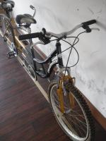 China 24inch Shimano 7 speeds OEM CE Steel tandem two people Bicycle with Fork Suspension for sale