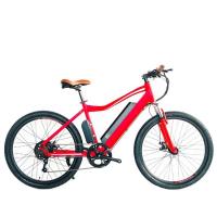 China 500W 48V14AH 28MPH Aluminum Frame 26