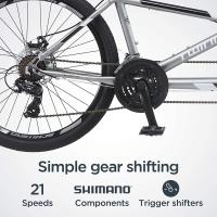 China Double Person Tandem Bicycle 26