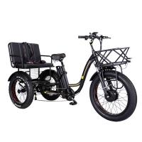 China Lightweight Aluminum Frame Electric Tricycle 48V 750W 21AH 50KM/H for Adult Passenger for sale