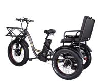 China Lightweight Aluminum Frame Electric Tricycle 48V 750W 21AH 50KM/H for Adult Passenger for sale